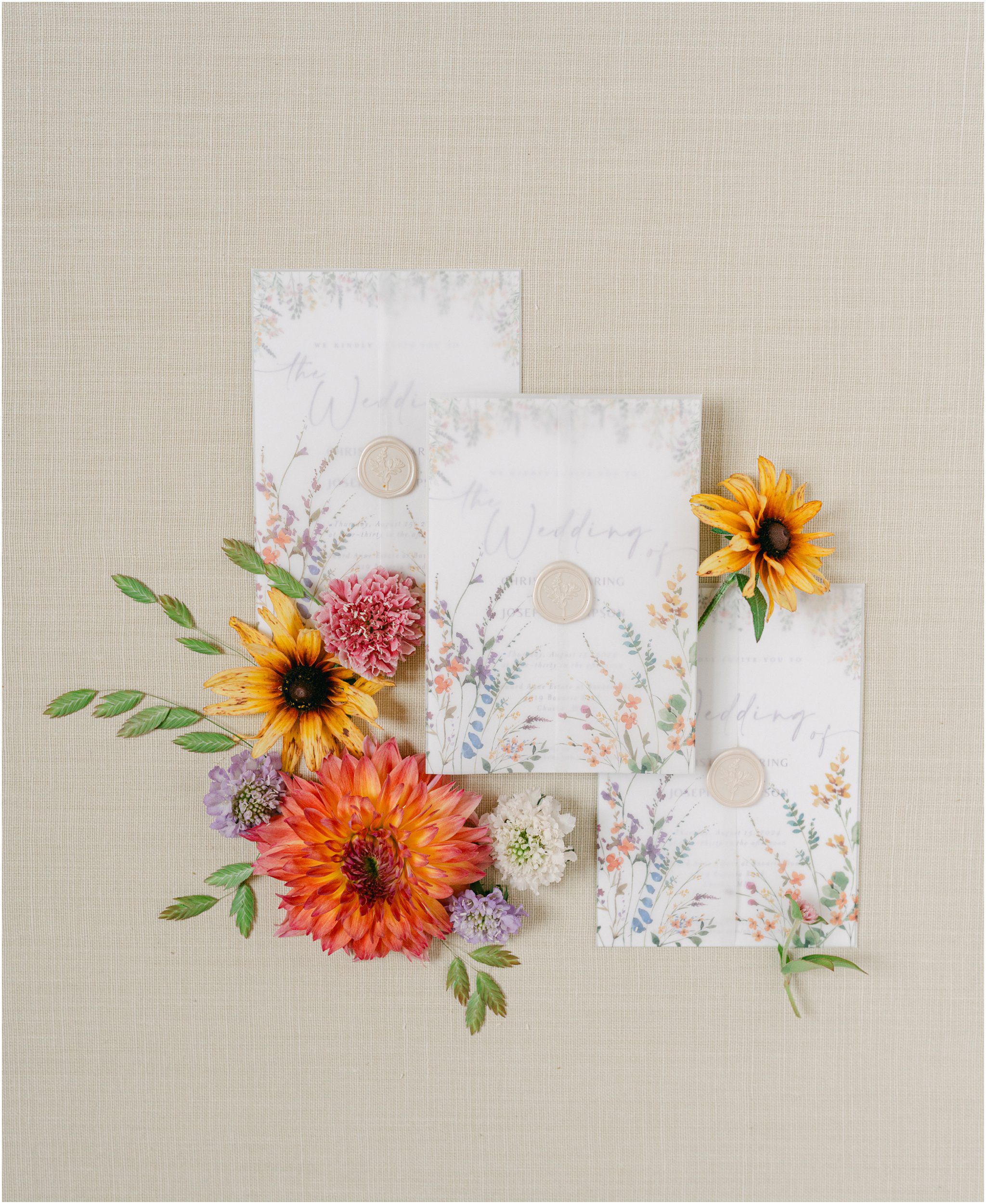 Bavaria Downs Colorful Chaska Wedding | Christine & Joe ...